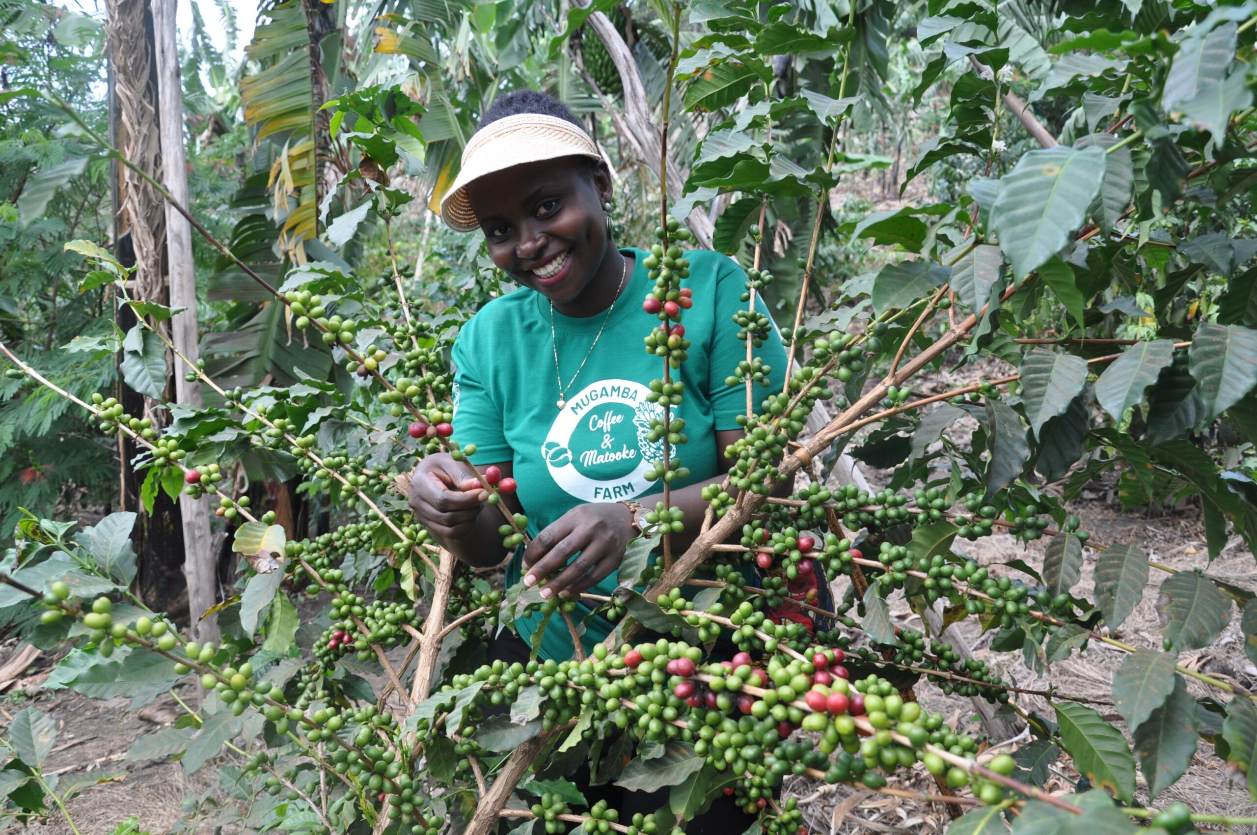 Uganda seeks to maintain the crucial EU market share